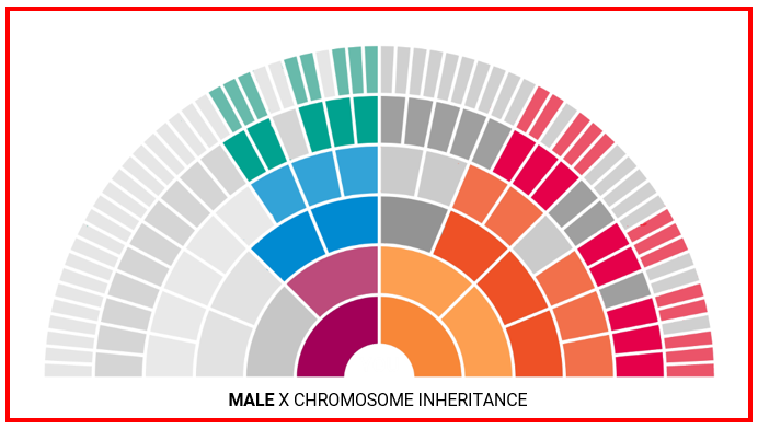 X-Matches – Help | FamilyTreeDNA