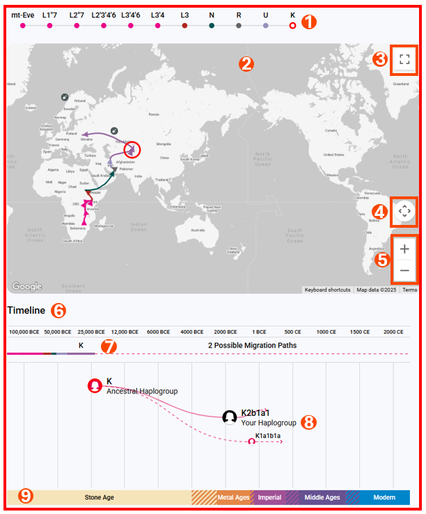 Using the mtDNA Discover™ Migration Map – Help | FamilyTreeDNA